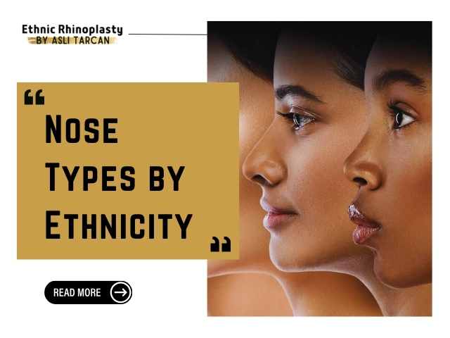 Nose Types By Ethnicity - Nasal Shape Variations In Races